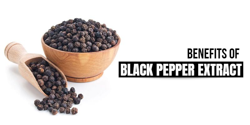 Benefits of Black Pepper Extract: 3 Ways It Benefit Muscle Building