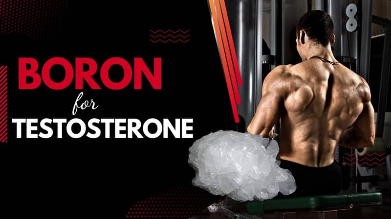 Boron for Increased Testosterone Levels - 8 Possible Benefits