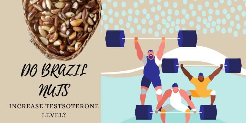 Brazil Nuts Increase Testosterone – Are Their Other Benefits?