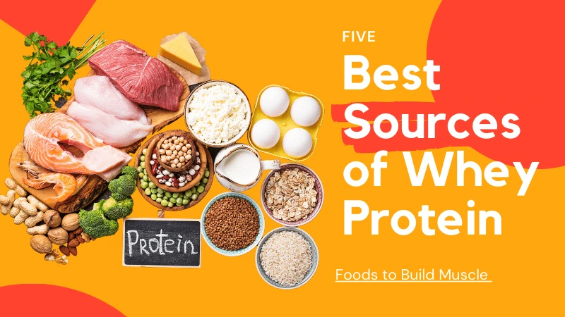 What is the Best Source of Whey Protein to Build Muscle?